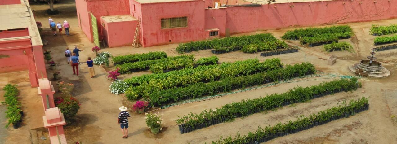 Peru's Pisco & Wine Country Cruise Tour