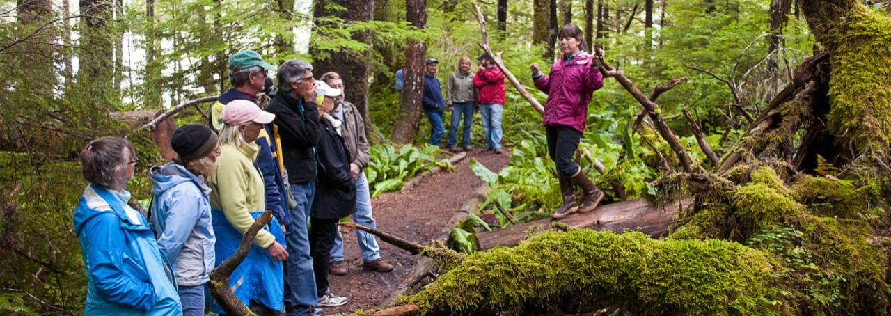 Rainforest Trail E-Bike & Nature Walk Cruise Tour