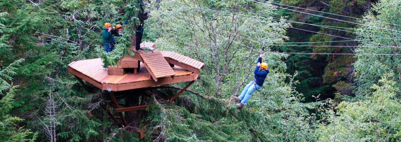 Adventure Park Zip-Lining & Ropes Course Cruise Tour