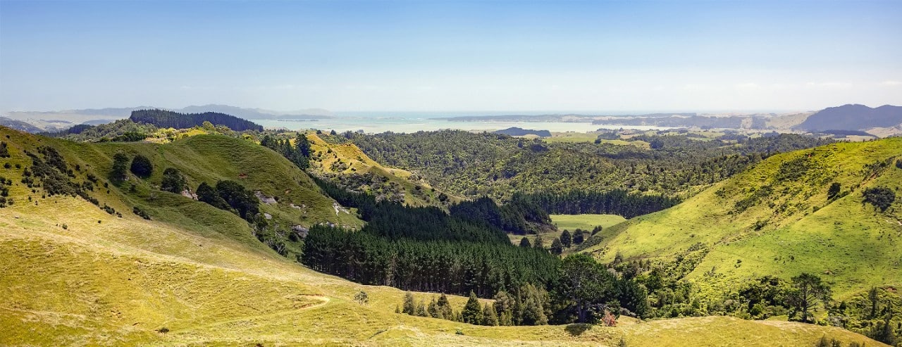 Cruises To Gisborne, New Zealand | Sunrise, Culture & Wine