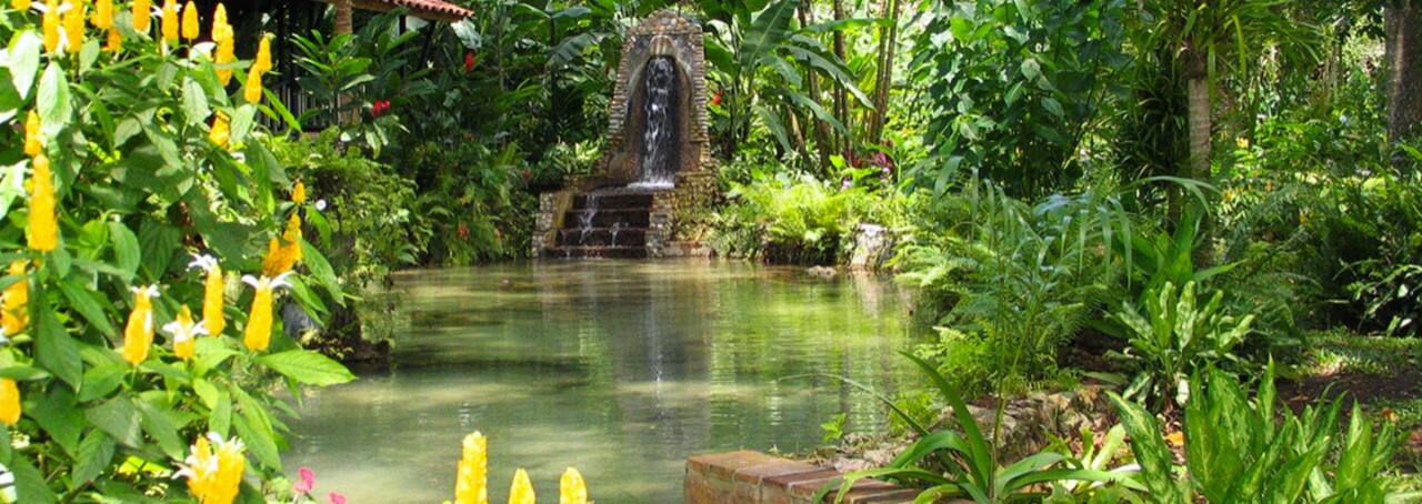 Discover Ocho Rios, Jamaica: Beaches, Waterfalls, and Reggae