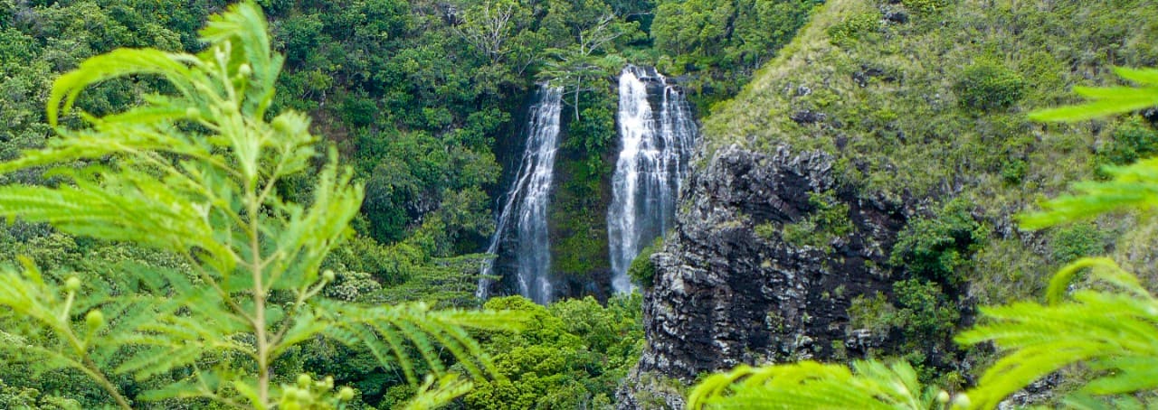 Wailua River Cruise & Fern Grotto