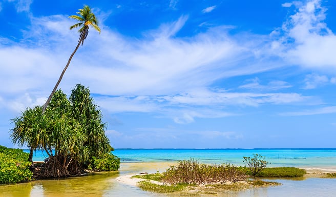South Pacific Cruises