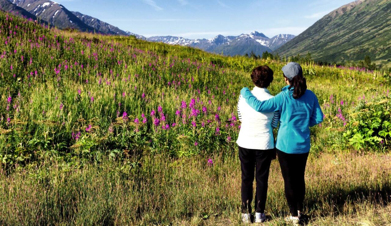 Viajes en crucero por Alaska 2026-2027 - Excursiones por tierra y mar ...