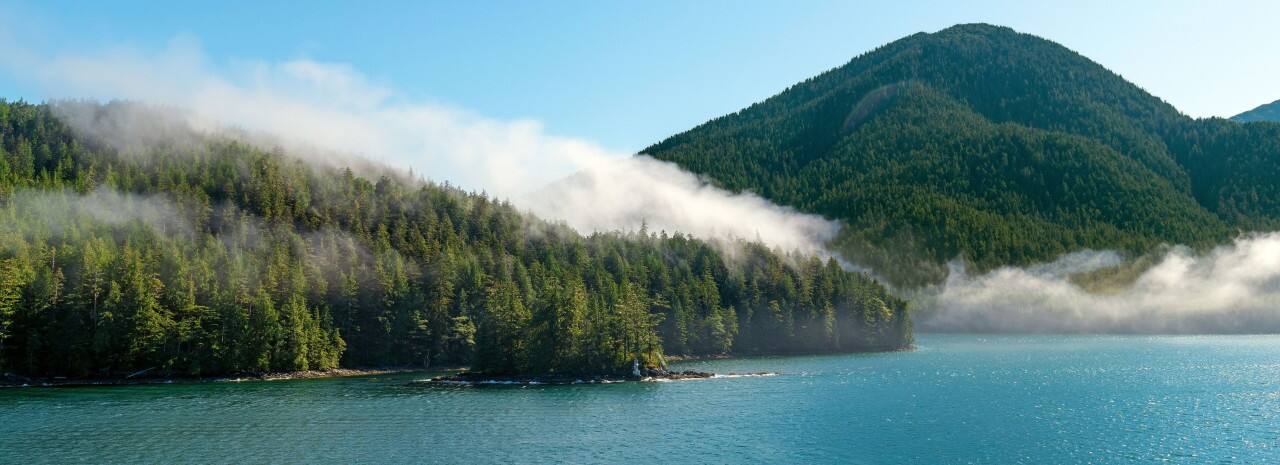 Crucero panorámico por la selva tropical del Gran Oso