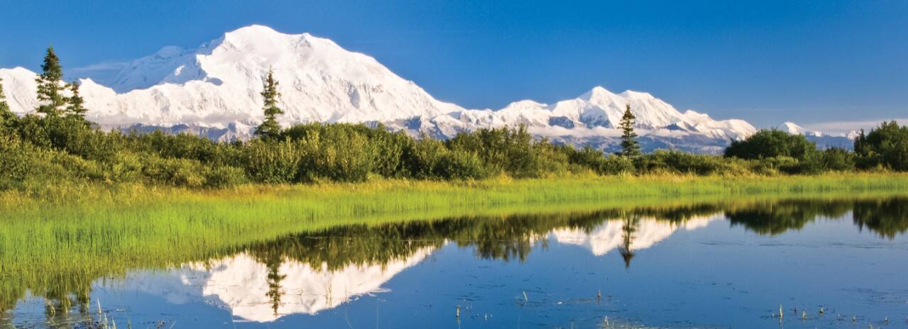 Descubra Alaska: Profundice más con las excursiones en crucero ...